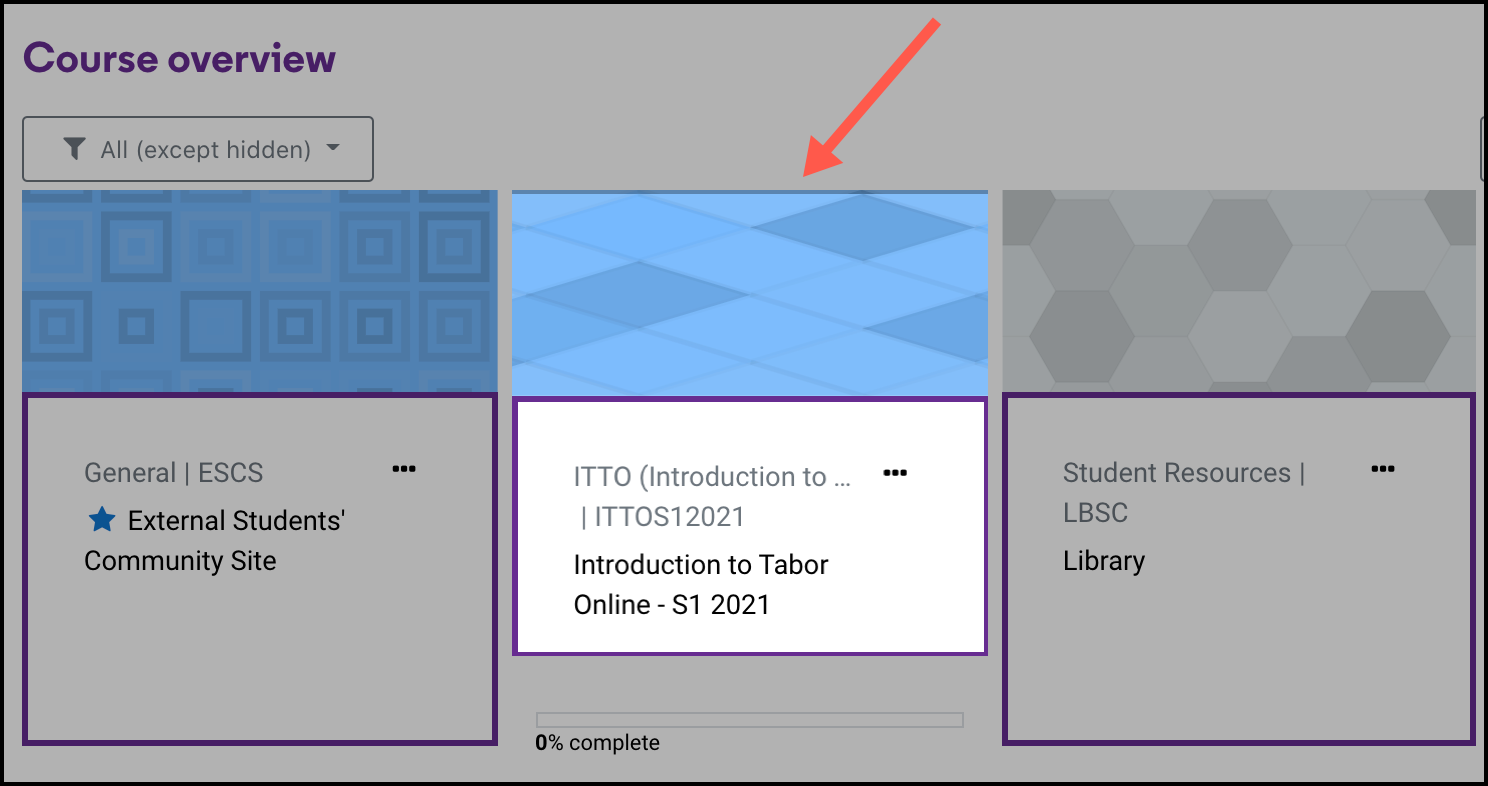 Student DHC: Introduction to Tabor Online | Tabor Online